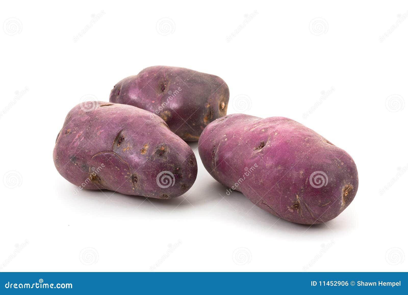 Batata azul - Vitellotte foto de stock. Imagem de alimento - 11452906