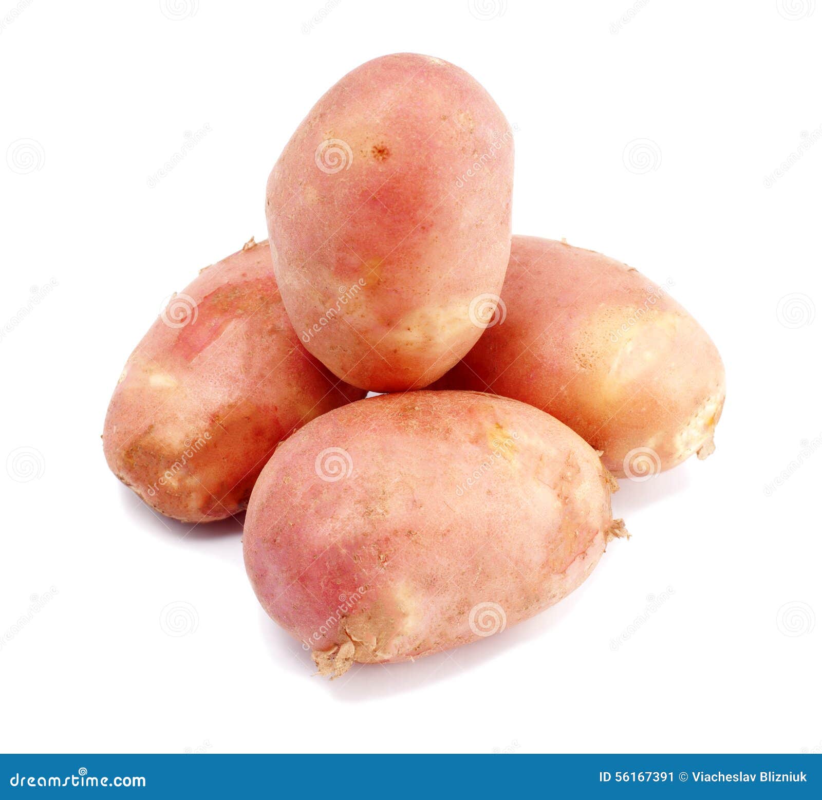 Batata Cor-de-rosa Nova Em Um Fundo Branco Imagem de Stock - Imagem de ...