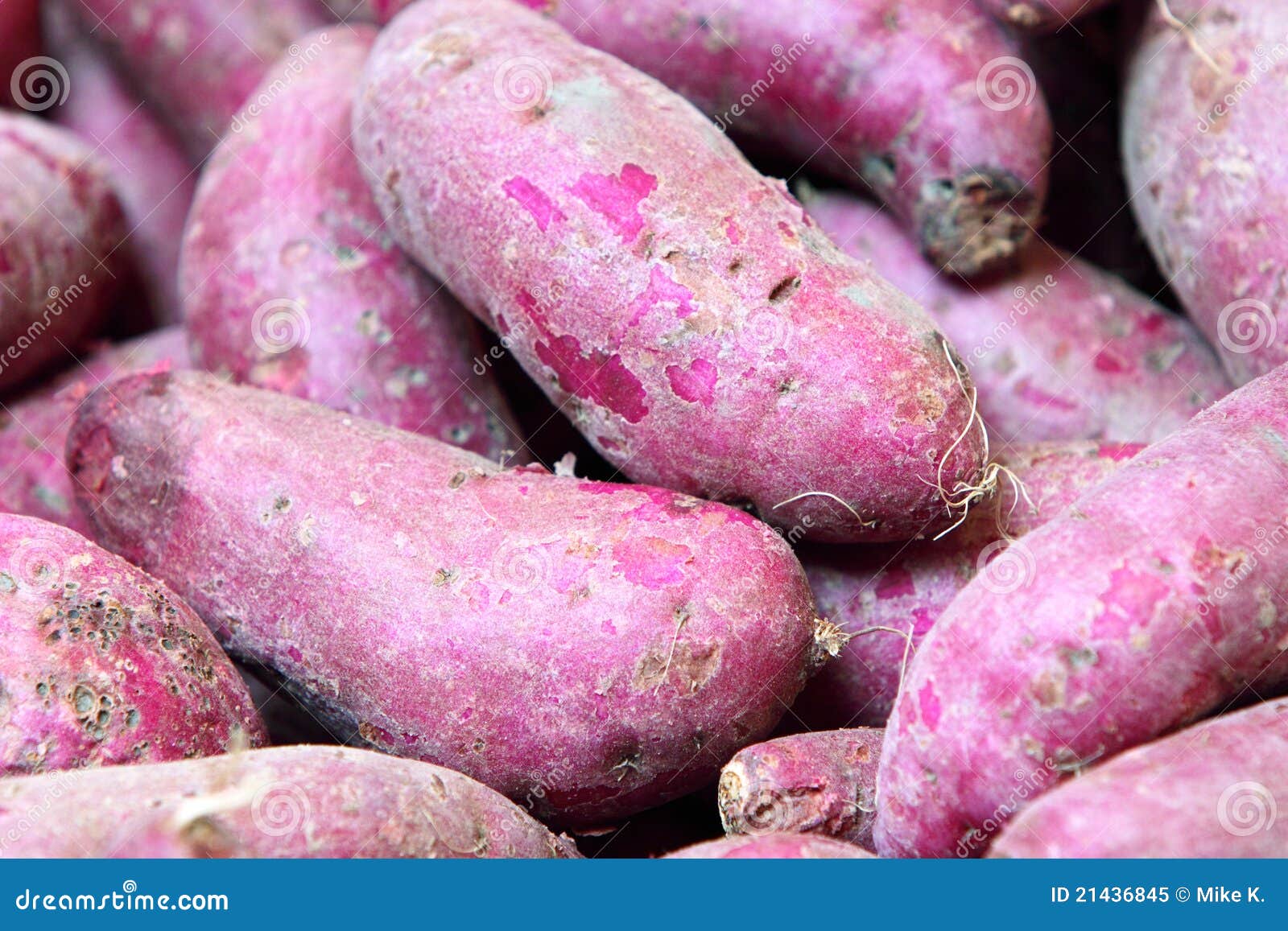 Batata doce roxa imagem de stock. Imagem de produto, nutritivo - 21436845