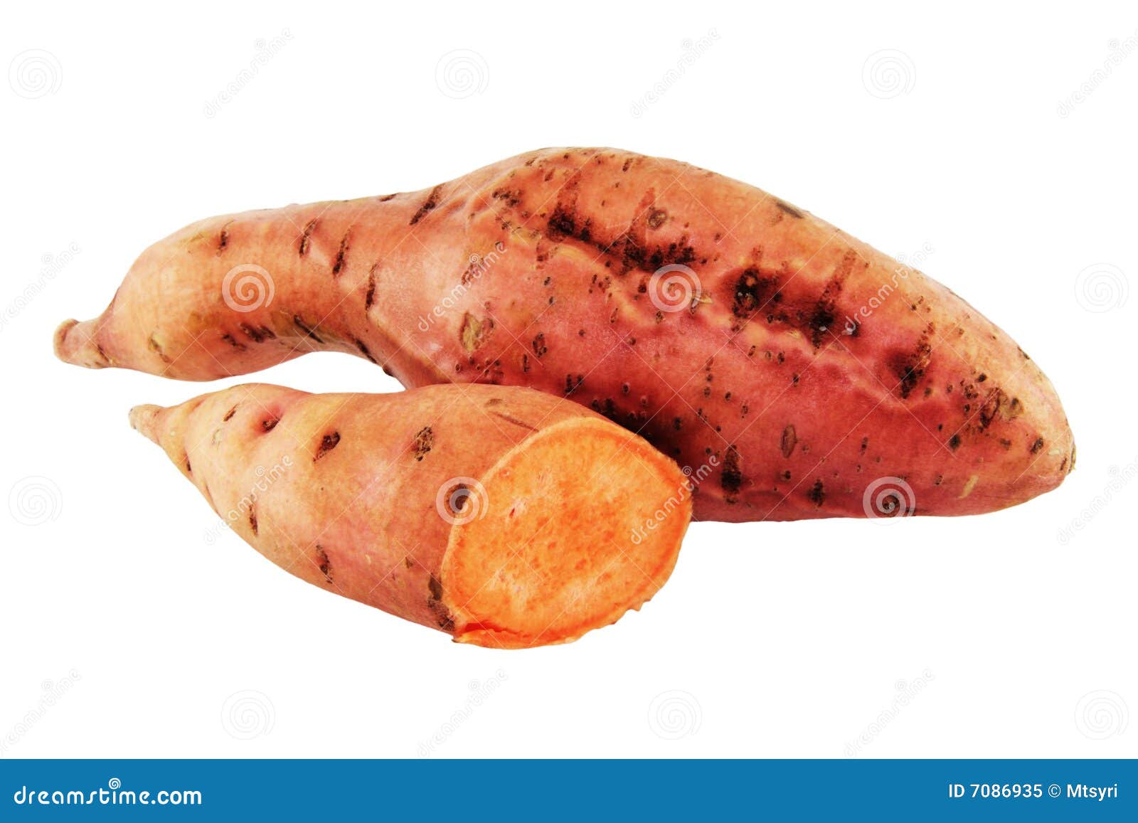 Batata. Fuite D'Ipomaea Batatos. Image stock - Image du agriculture ...