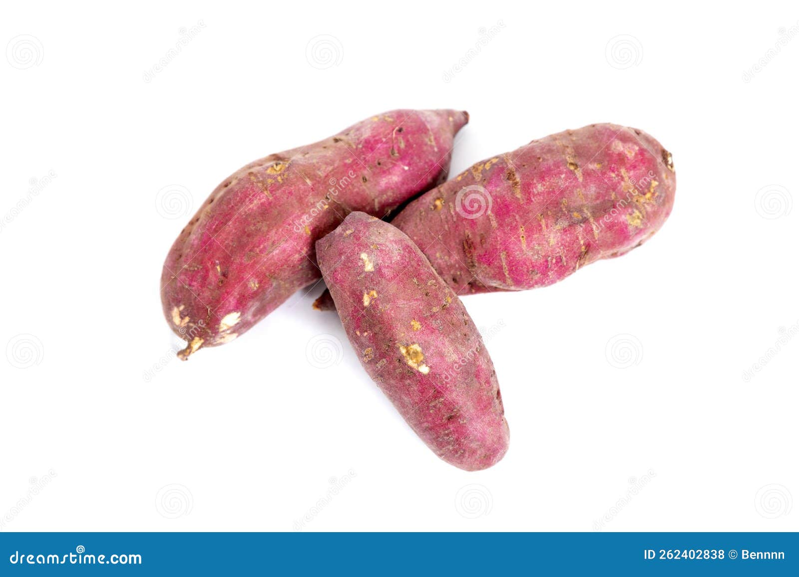 Batata Roja Aislada En Blanco Foto de archivo - Imagen de fresco, fondo ...