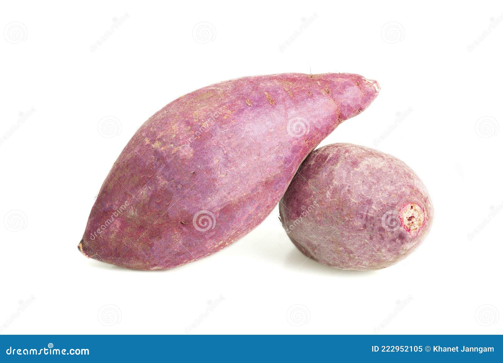 Batata roja aislada imagen de archivo. Imagen de steamed - 222952105