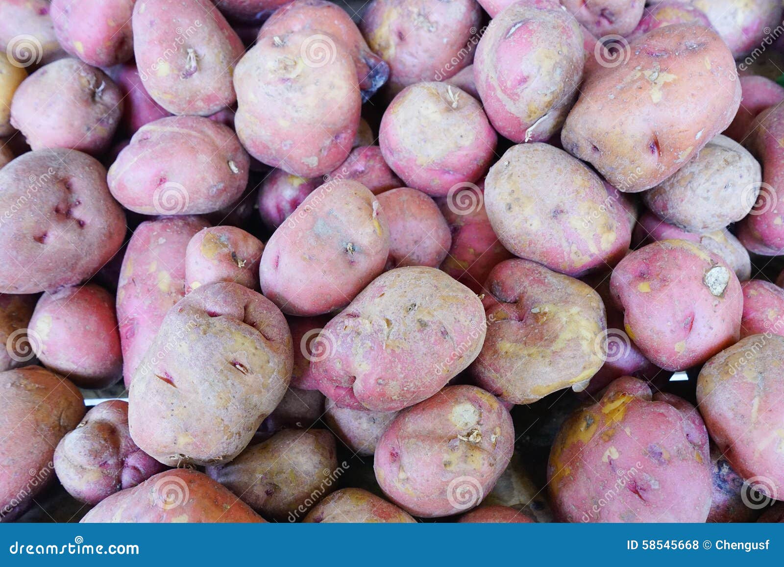 Batata roxa foto de stock. Imagem de biscoito, ingrediente - 58545668