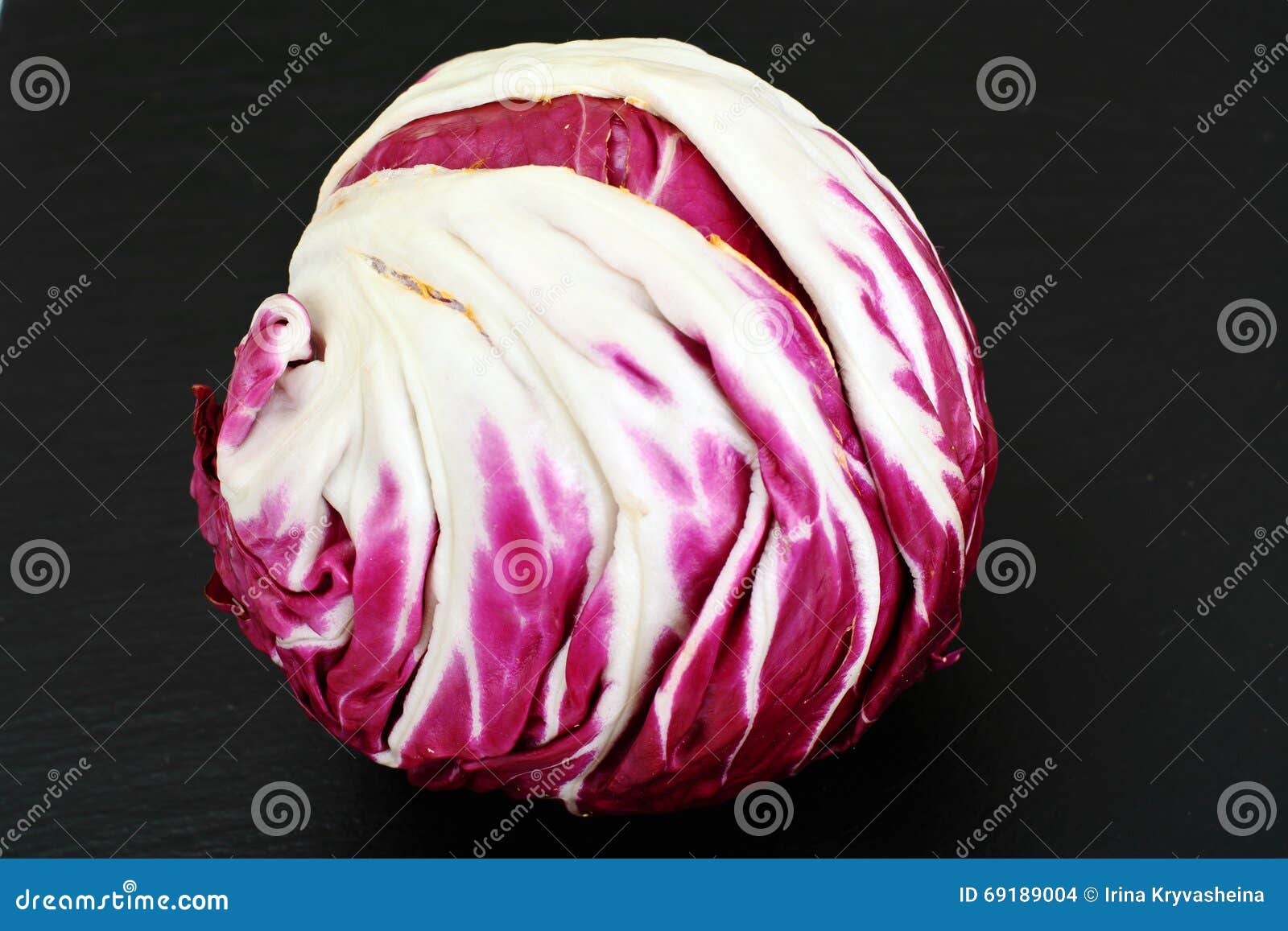 Batavian Italian Chicory stock photo. Image of salad - 69189004