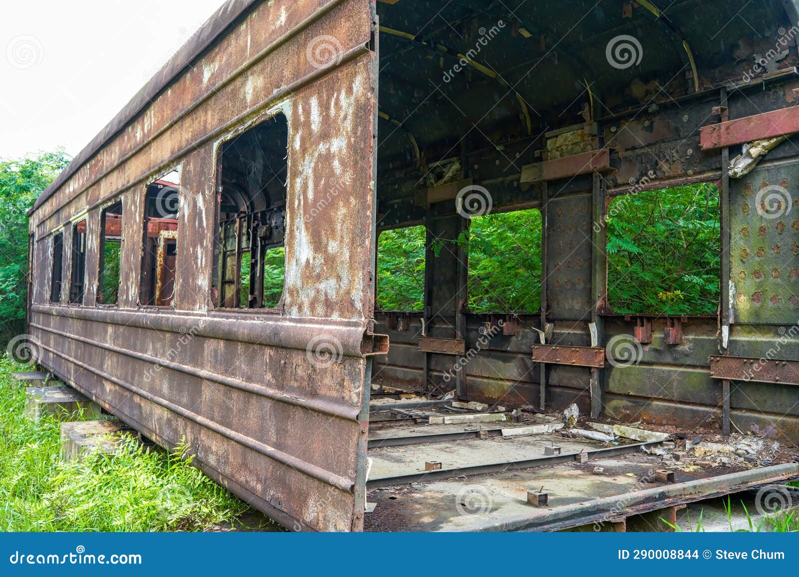 A Batch of Rusty Train Carriages Abandoned in the Forest Stock Photo ...