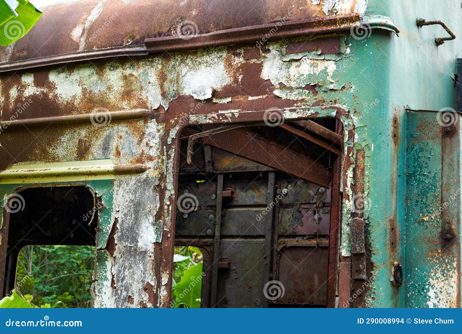 A Batch of Rusty Train Carriages Abandoned in the Forest Stock Photo ...