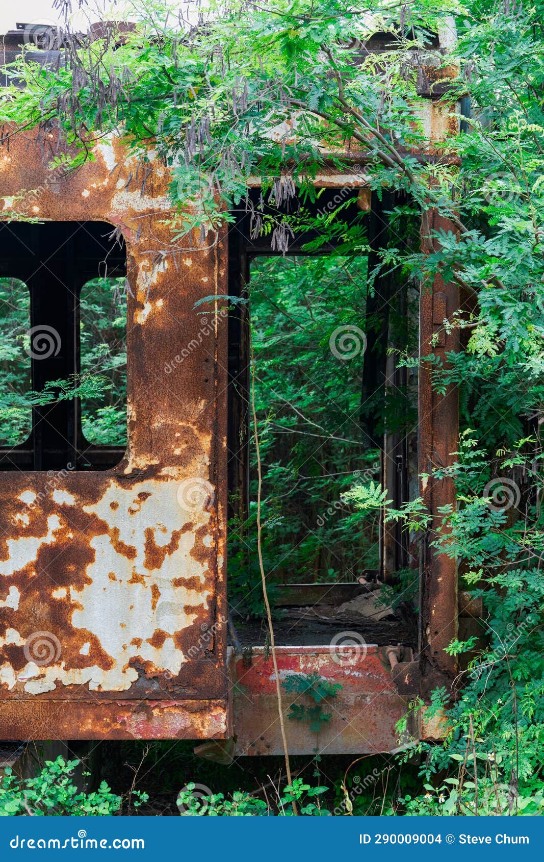 A Batch of Rusty Train Carriages Abandoned in the Forest Stock Photo ...