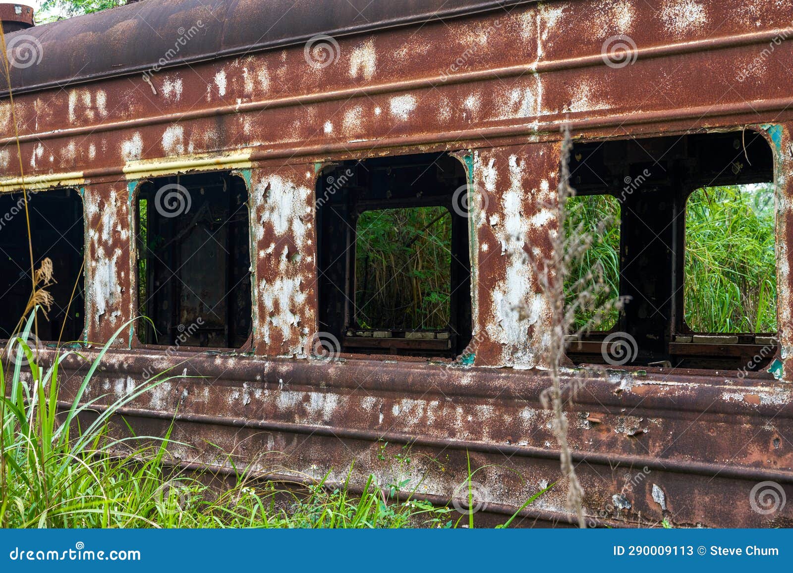 A Batch of Rusty Train Carriages Abandoned in the Forest Stock Image ...