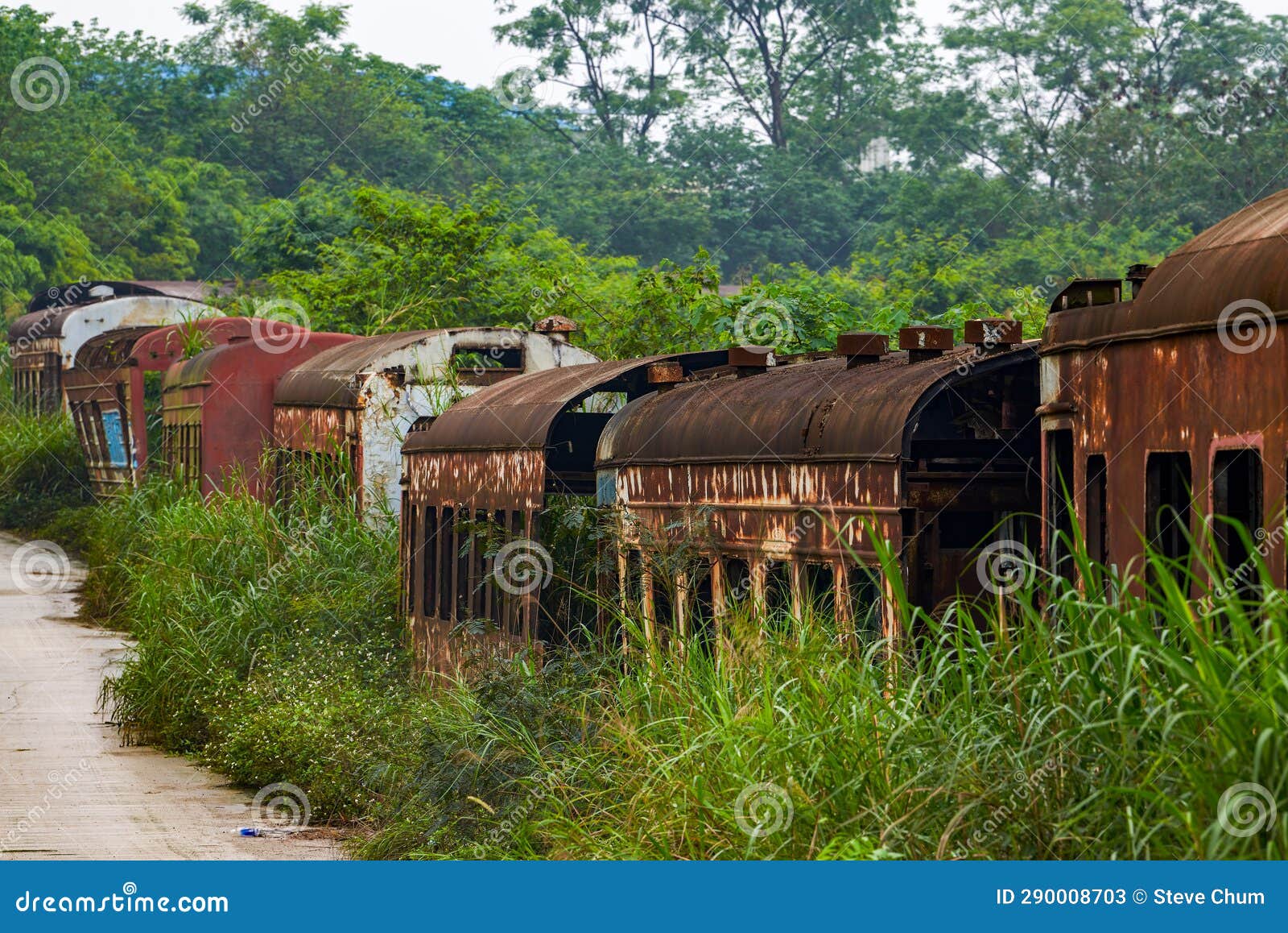 A Batch of Rusty Train Carriages Abandoned in the Forest Stock Image ...