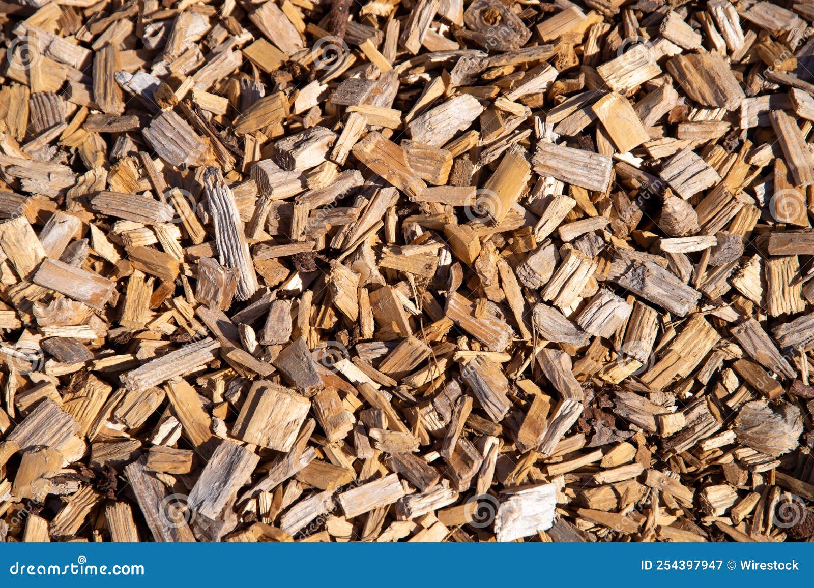 Batch of Shredded Wooden Sticks Gathered Stock Image - Image of ...