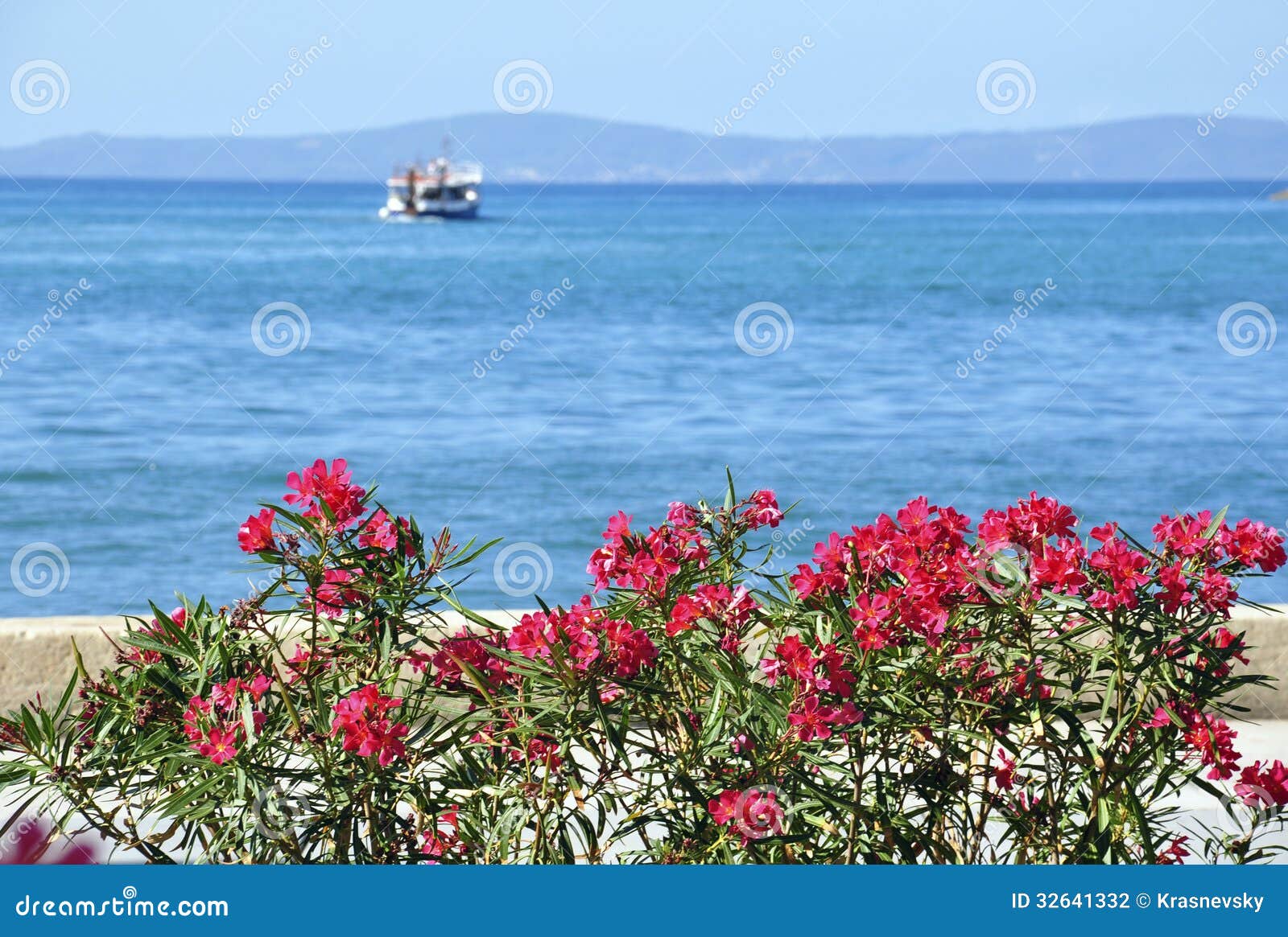 Bateau, mer et fleurs photo stock. Image du bleu, rose - 32641332