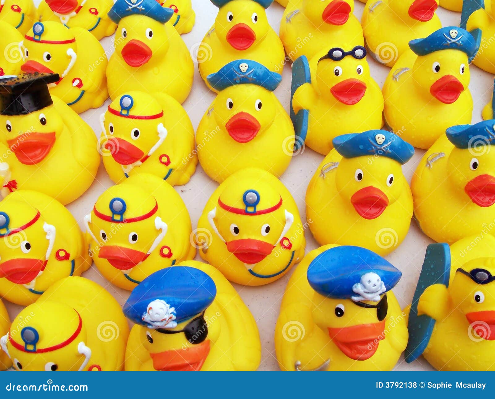 Bath ducks stock photo. Image of surfboard, rubber, stethoscope - 3792138