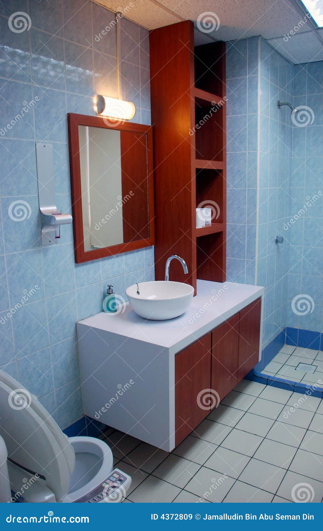Bath-room stock image. Image of sink, floor, elegant, shower - 4372809