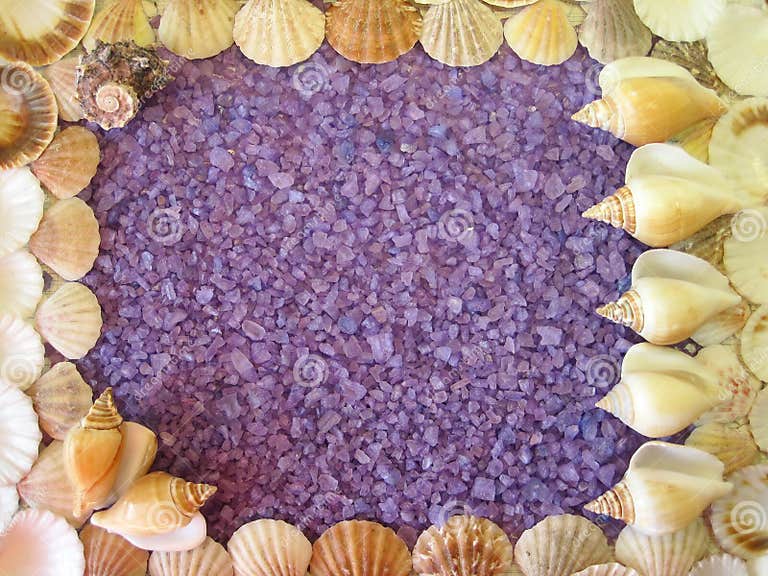 Bath salt and shells frame stock image. Image of animal - 31880417