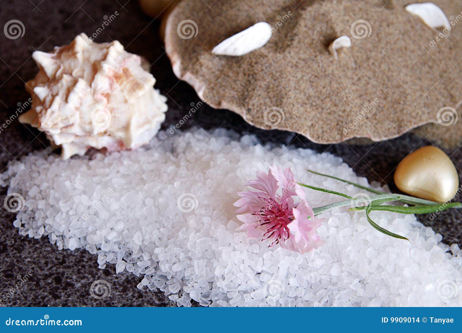 Bath Sea Salt on Black Granite Flooring Tiles Stock Photo - Image of ...
