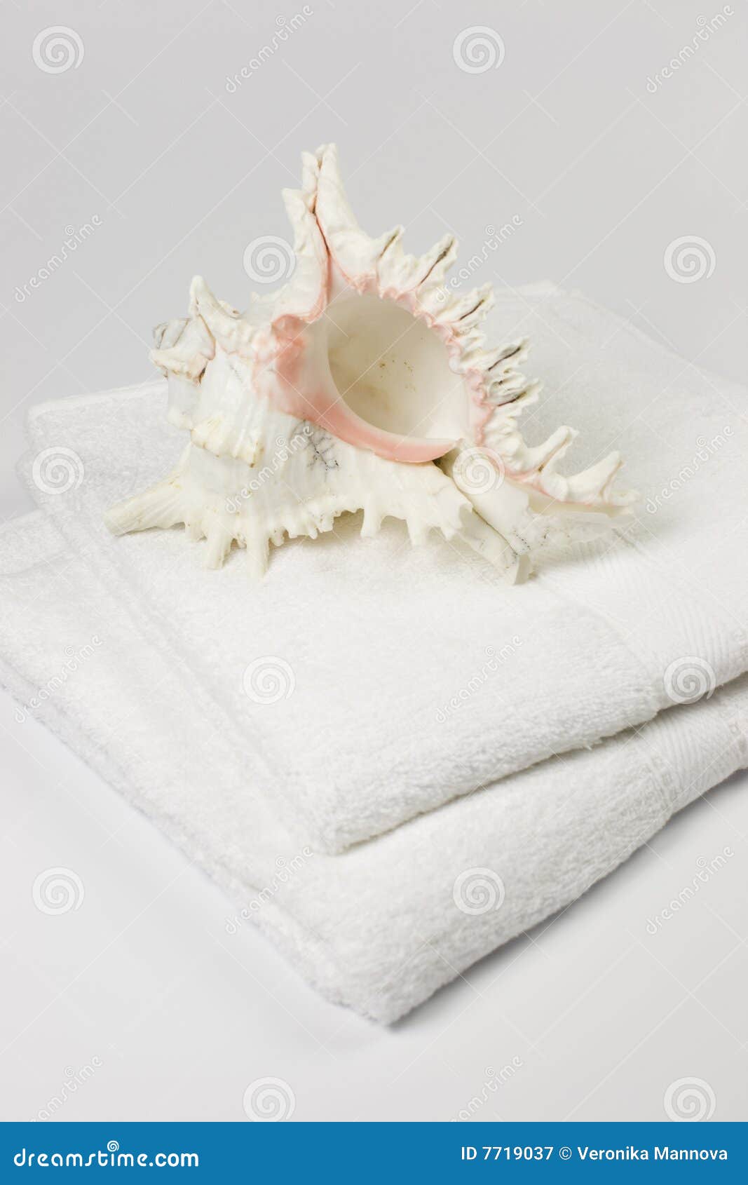 329 Bath Seashell Towels Photos - Free & Royalty-Free Stock Photos from ...