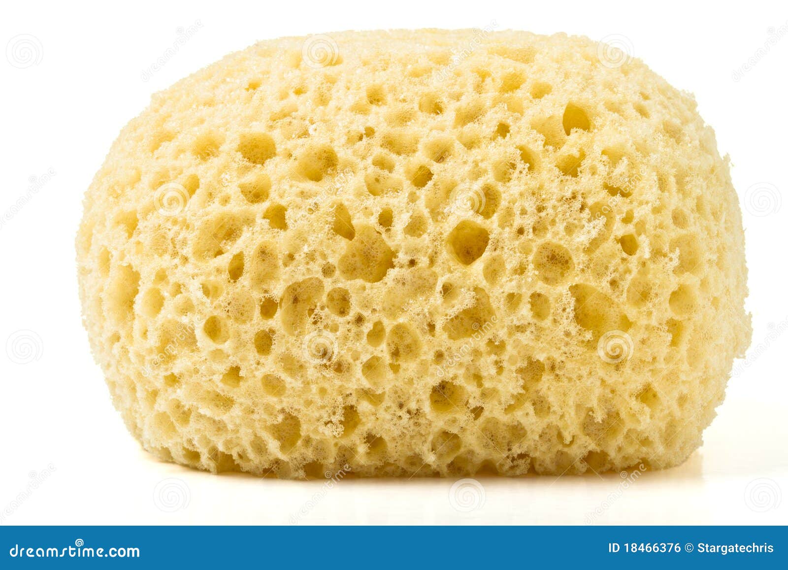 Bath sponge stock photo. Image of accessory, macro, closeup - 18466376
