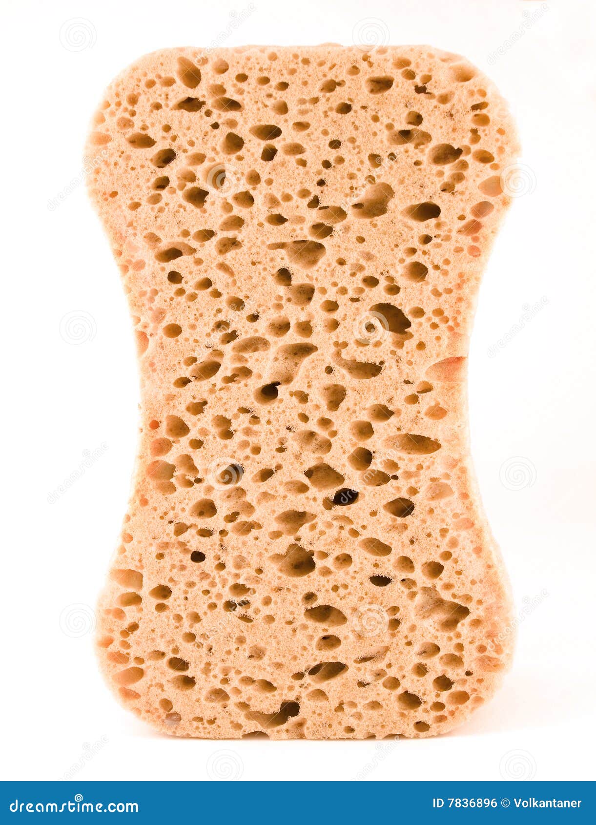 Bath Sponge stock photo. Image of isolated, household - 7836896