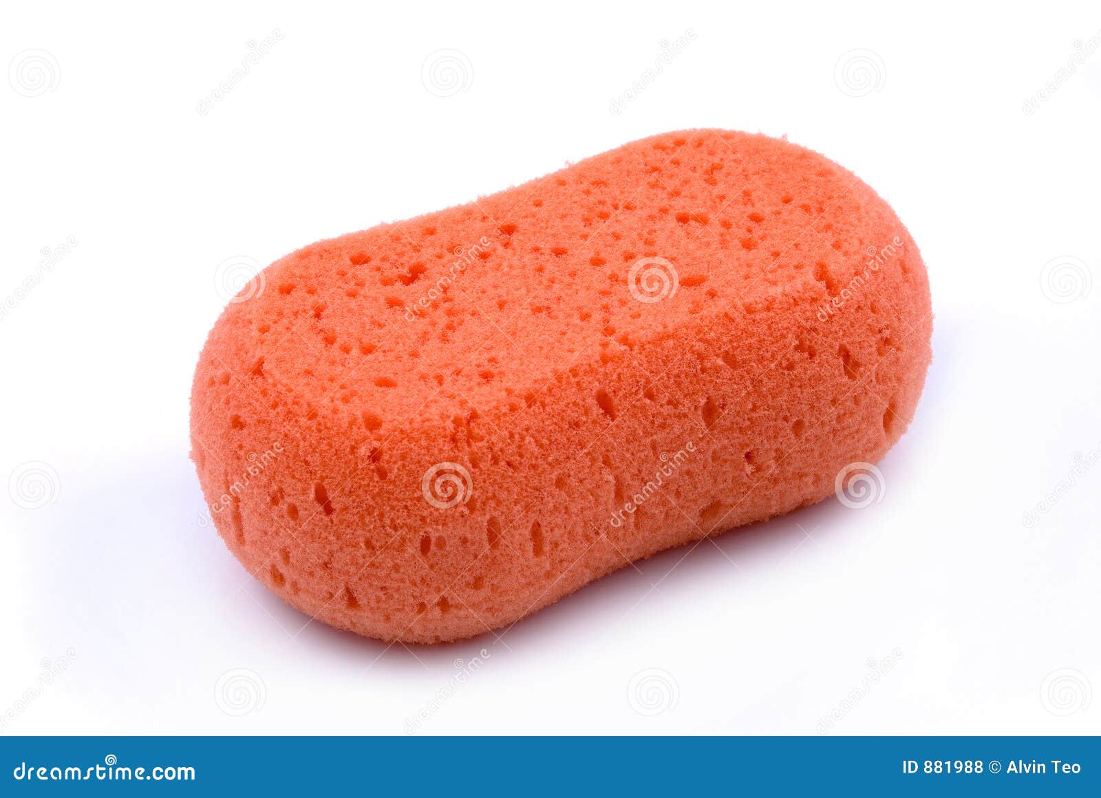Bath Sponge stock photo. Image of sponge, squeeze, wash - 881988
