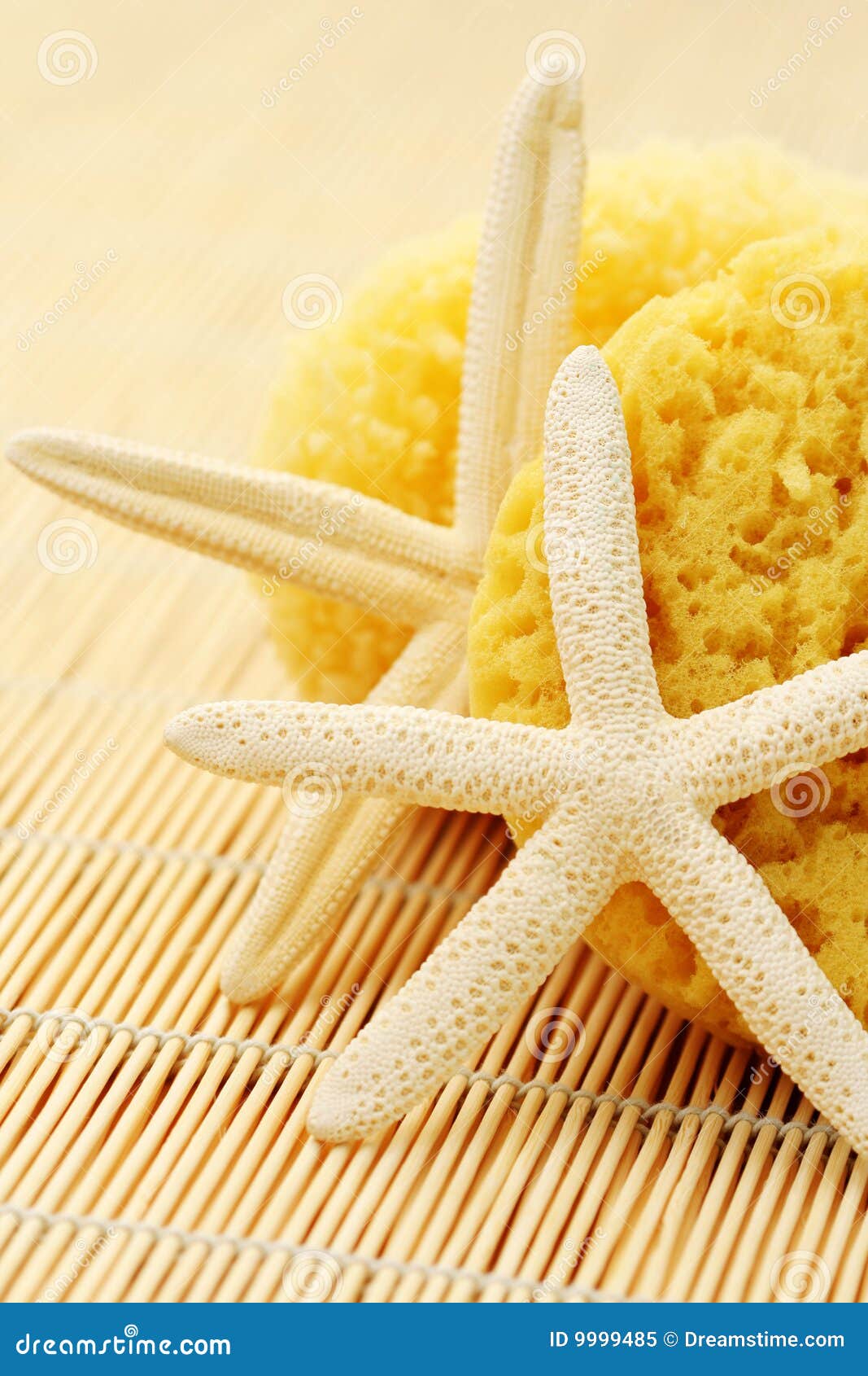Bath sponge stock image. Image of organic, natural, shower - 9999485