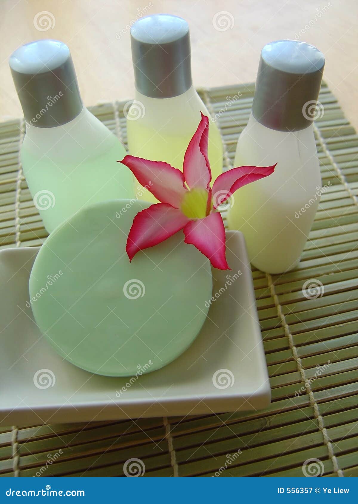Bath Time 2 stock image. Image of dish, skincare, bamboo - 556357