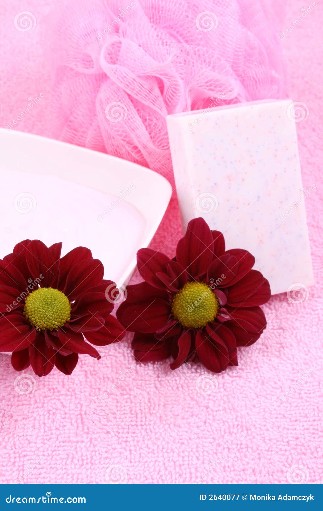 Bath time stock image. Image of bathroom, health, body - 2640077