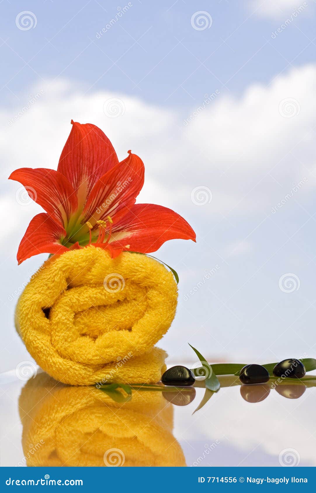 Bath time or spa detail stock photo. Image of bodycare - 7714556