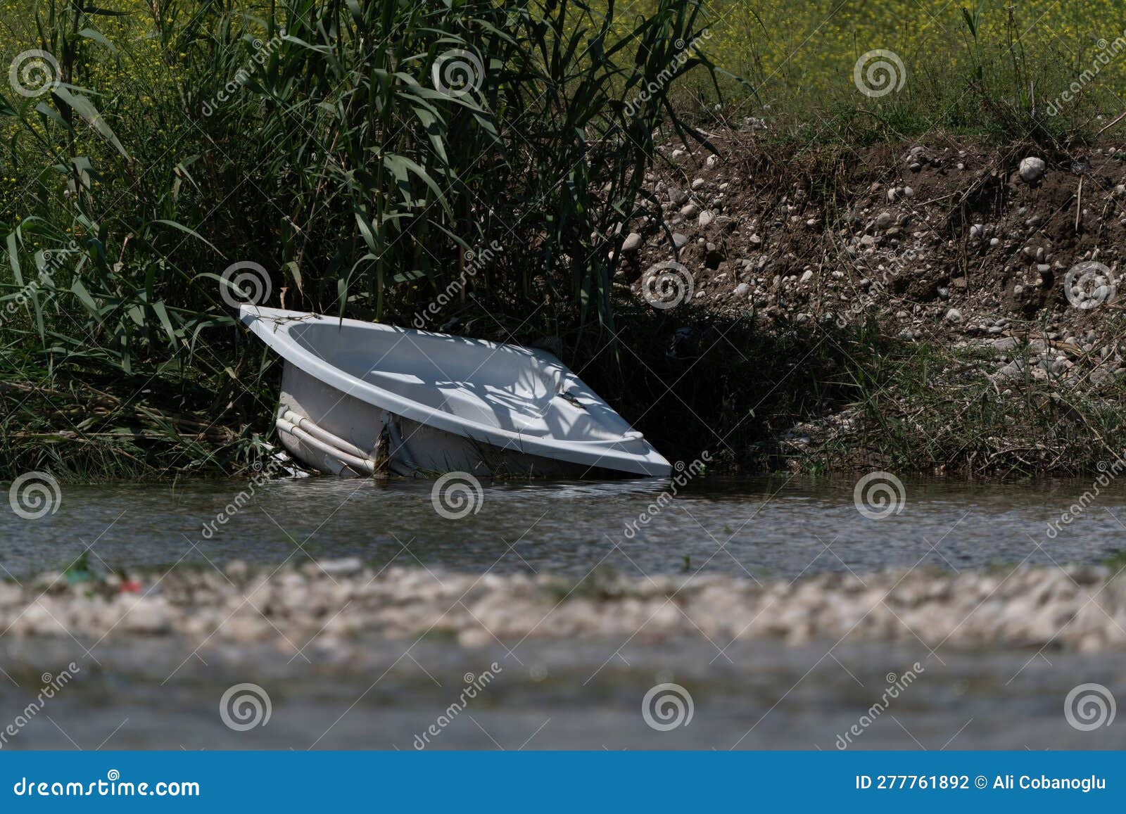 A Bath Tub Dumped by the River. Destruction of the Environment Stock ...