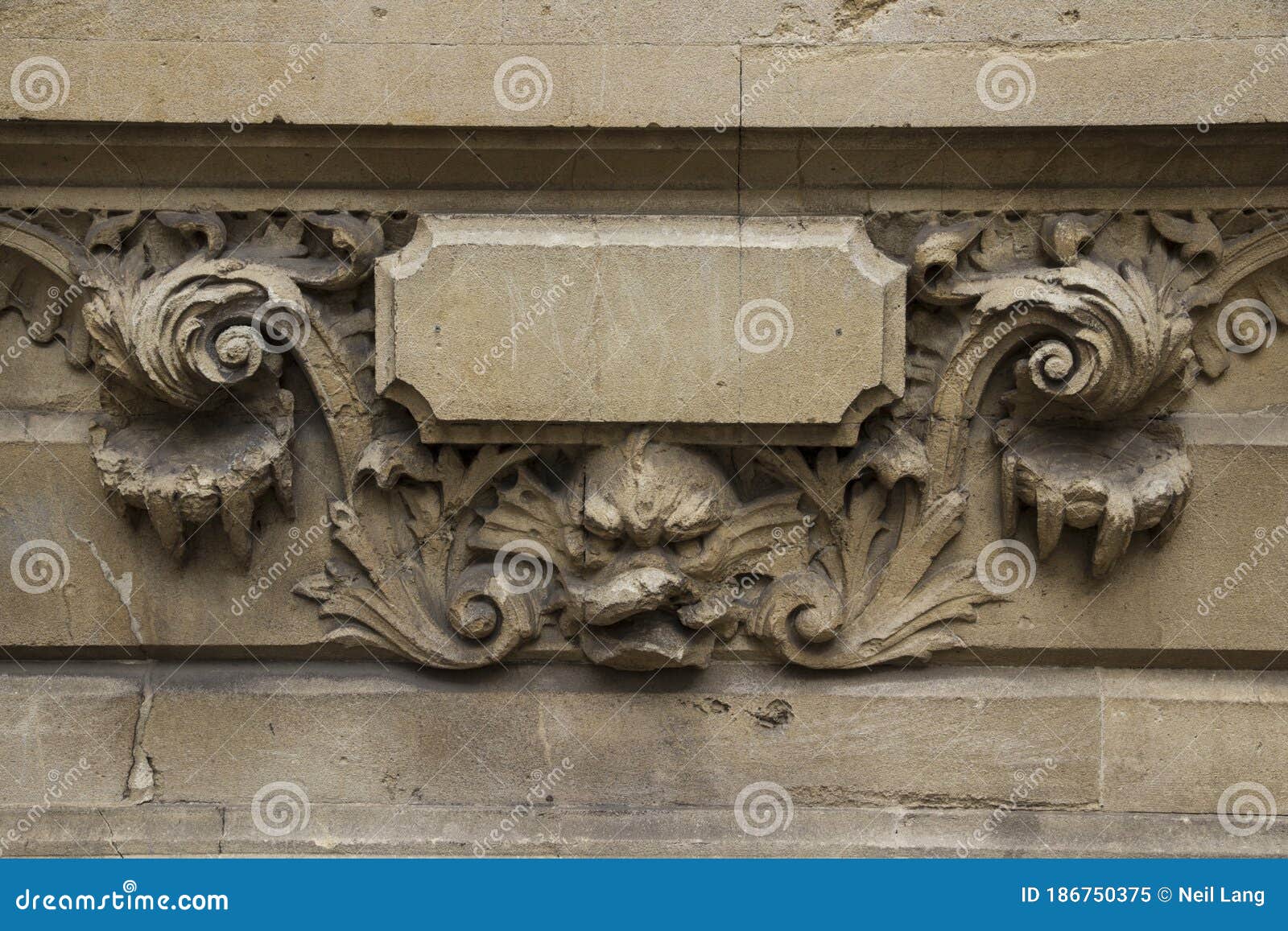 Stone Sign On The House, Golden Bear Tied To A Tree, Old Town, Medieval ...