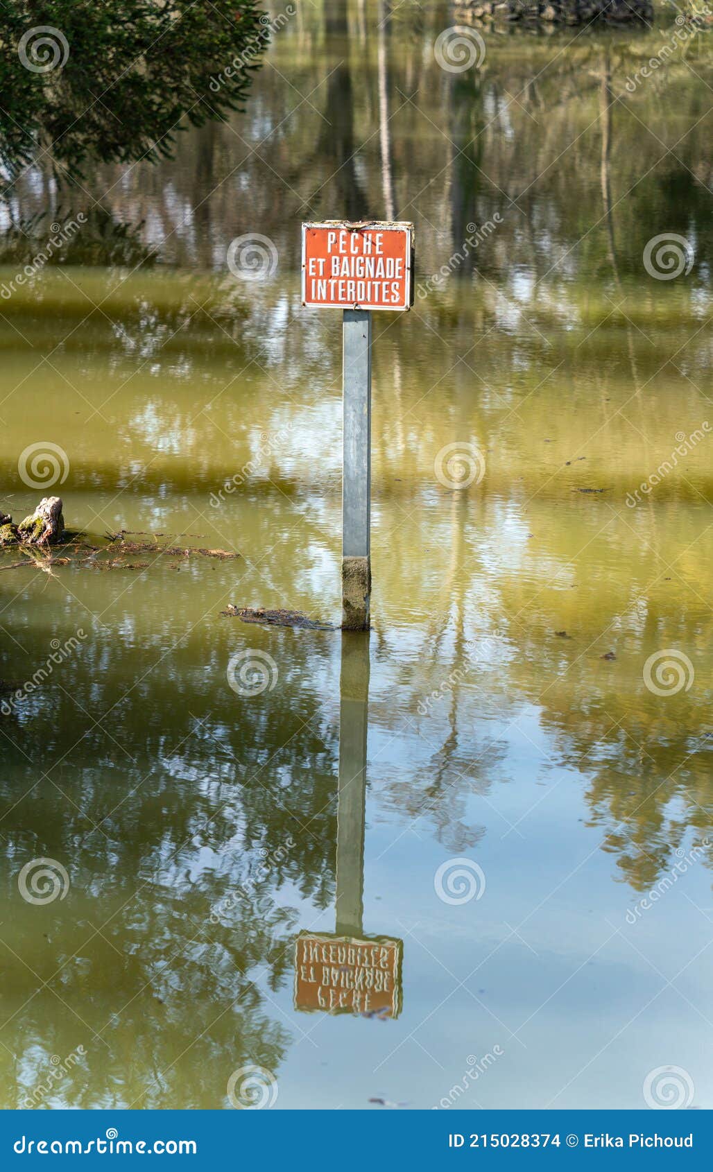 Bathing Prohibited Sign and Its Reflection in the Water Stock Photo ...