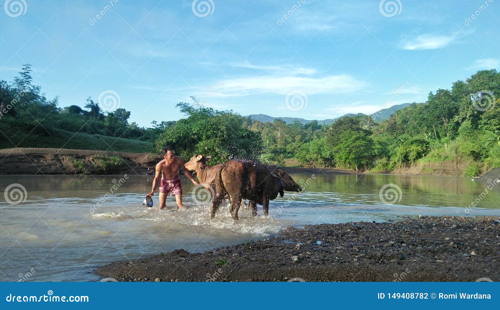 Bathing in the river editorial photography. Image of bathing - 149408782