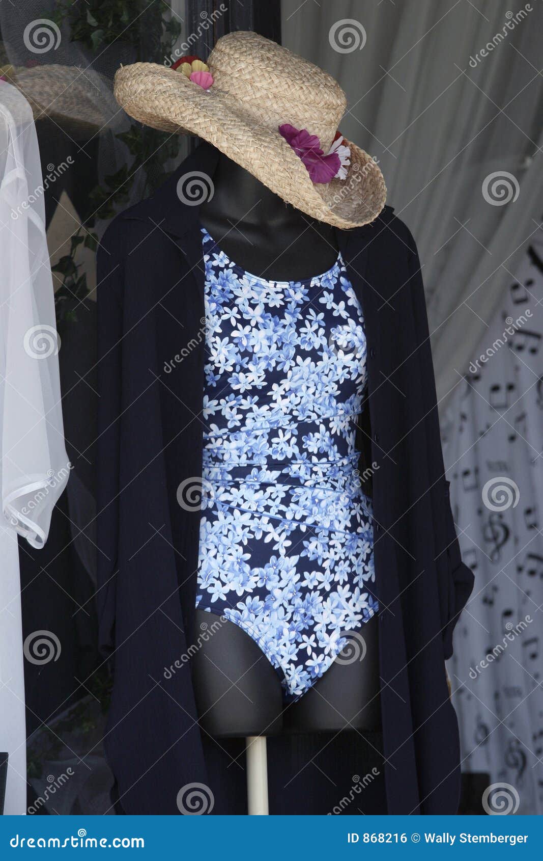 Bathing suit display stock photo. Image of clothing, black - 868216