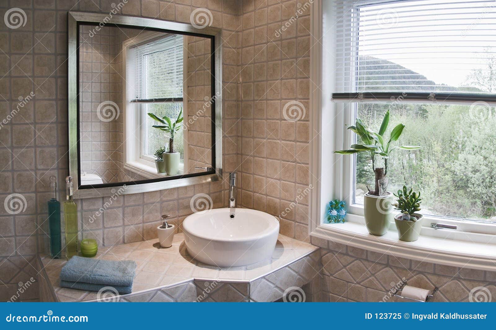 Bathroom stock image. Image of beauty, relax, indoors, bathroom - 123725