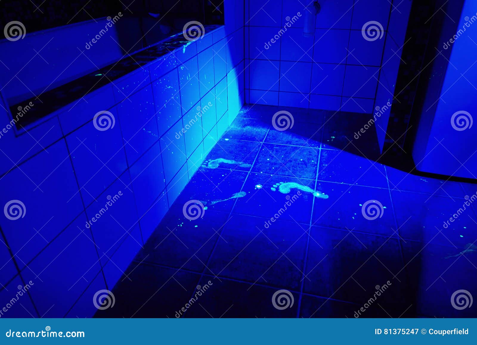 Bathroom As Place of Crime in UV Light Stock Image - Image of ...