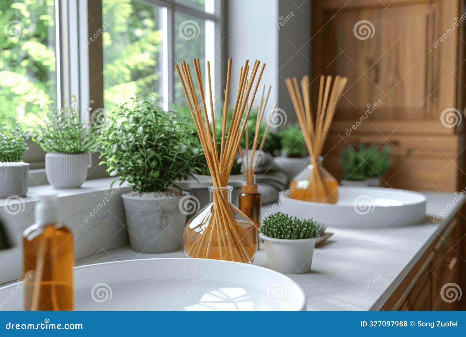Bathroom Countertop with Plants and Reed Diffusers in Sunlight Stock ...