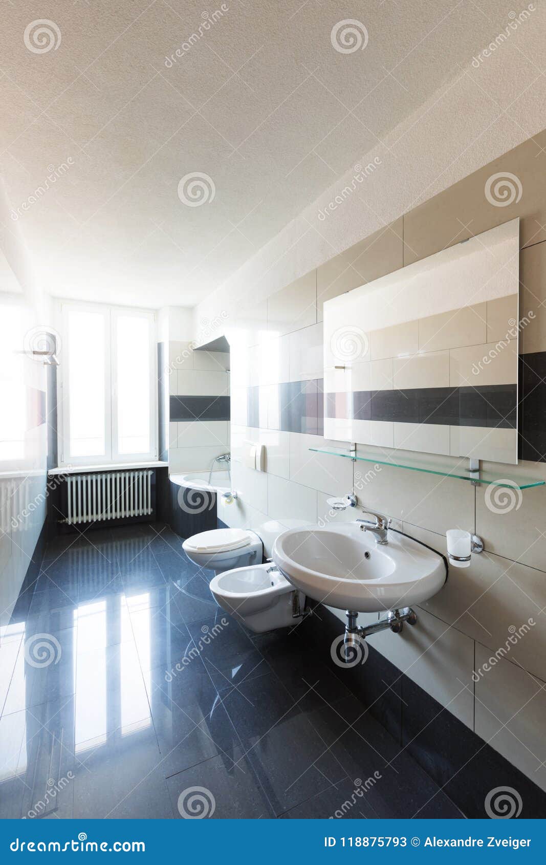 Bathroom, empty and clean stock image. Image of domestic - 118875793
