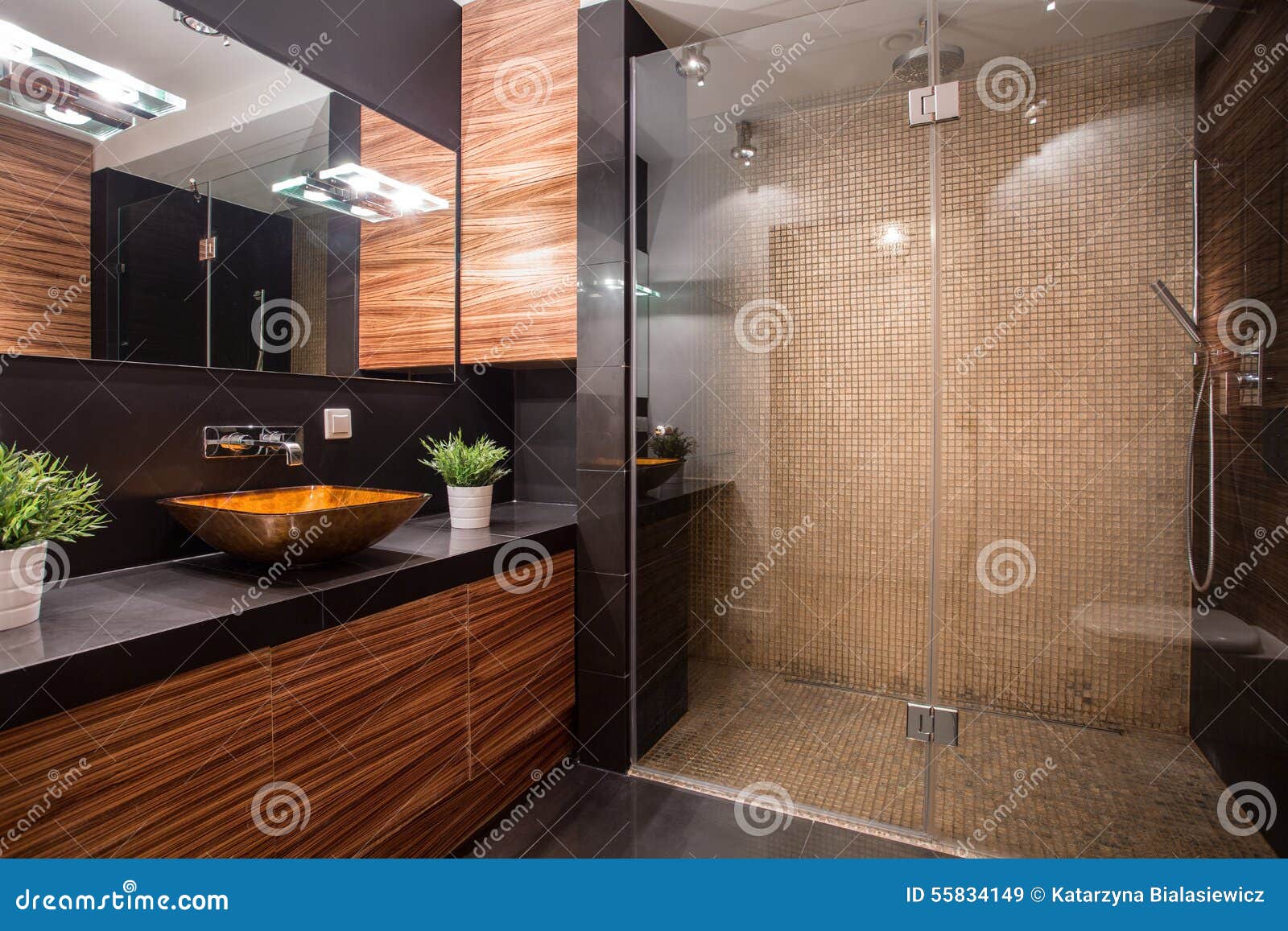 Bathroom with fancy shower stock image. Image of fashionable - 55834149