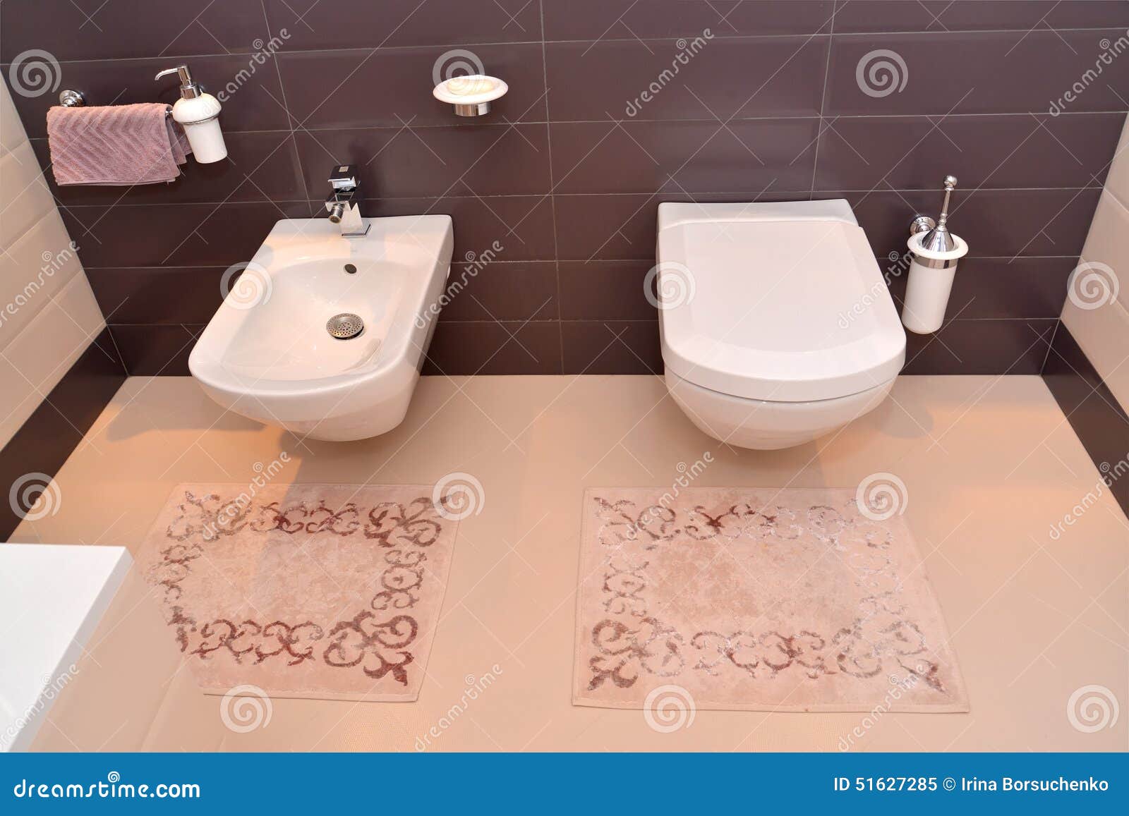 Bathroom Interior with the Sanitary Equipment Stock Image - Image of ...