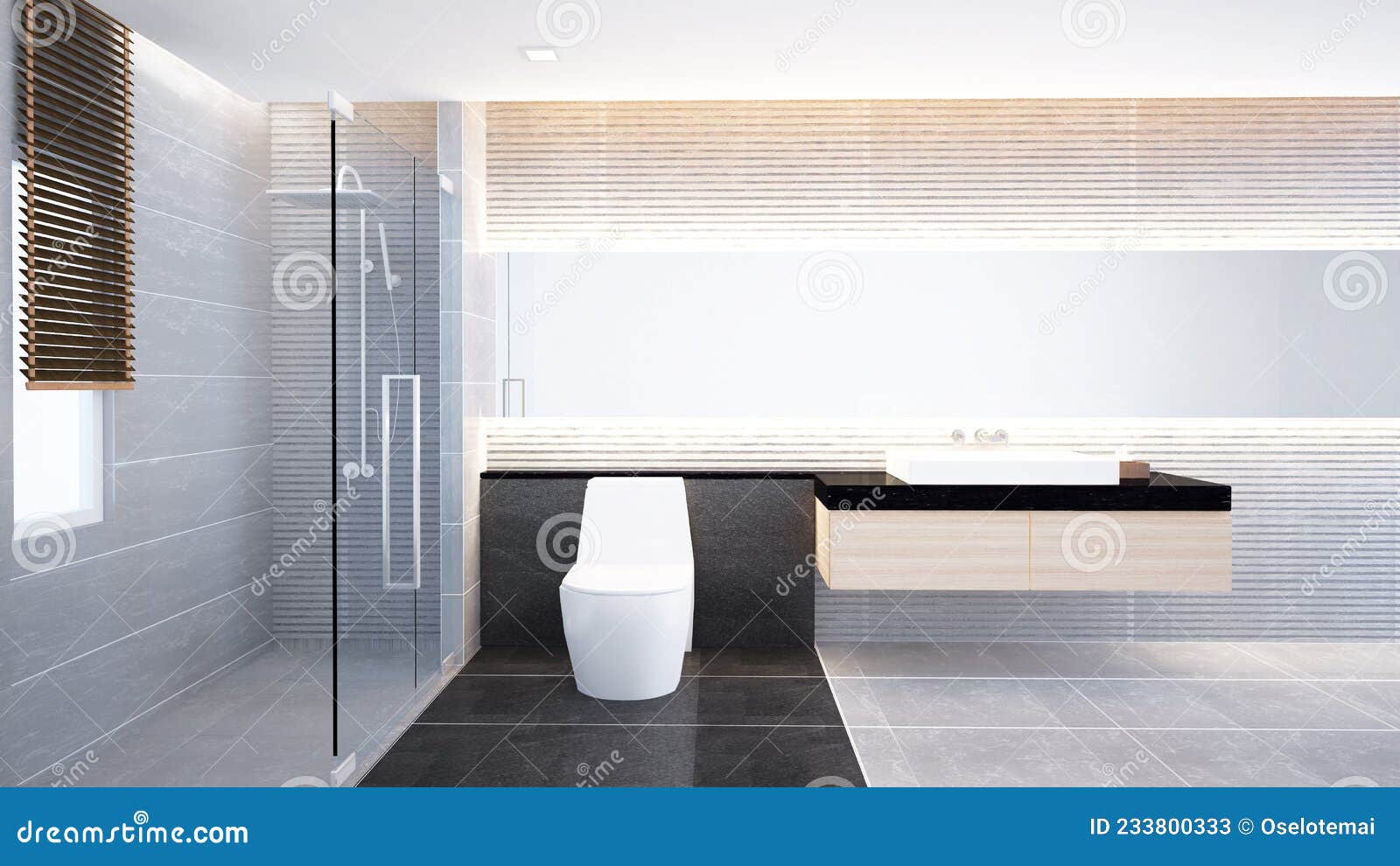 Bathroom Interior with a Shower Toilet and a Sink,Side View Stock ...