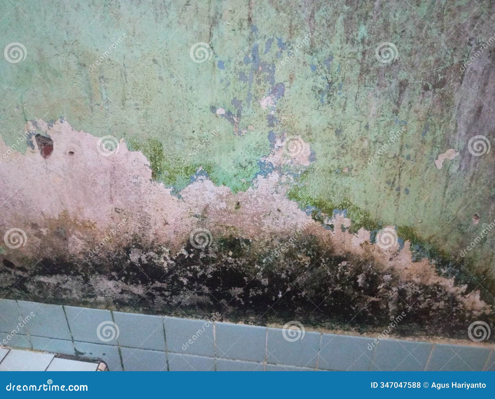 Bathroom Wall Stains in a House that are Never Cleaned Stock Photo ...