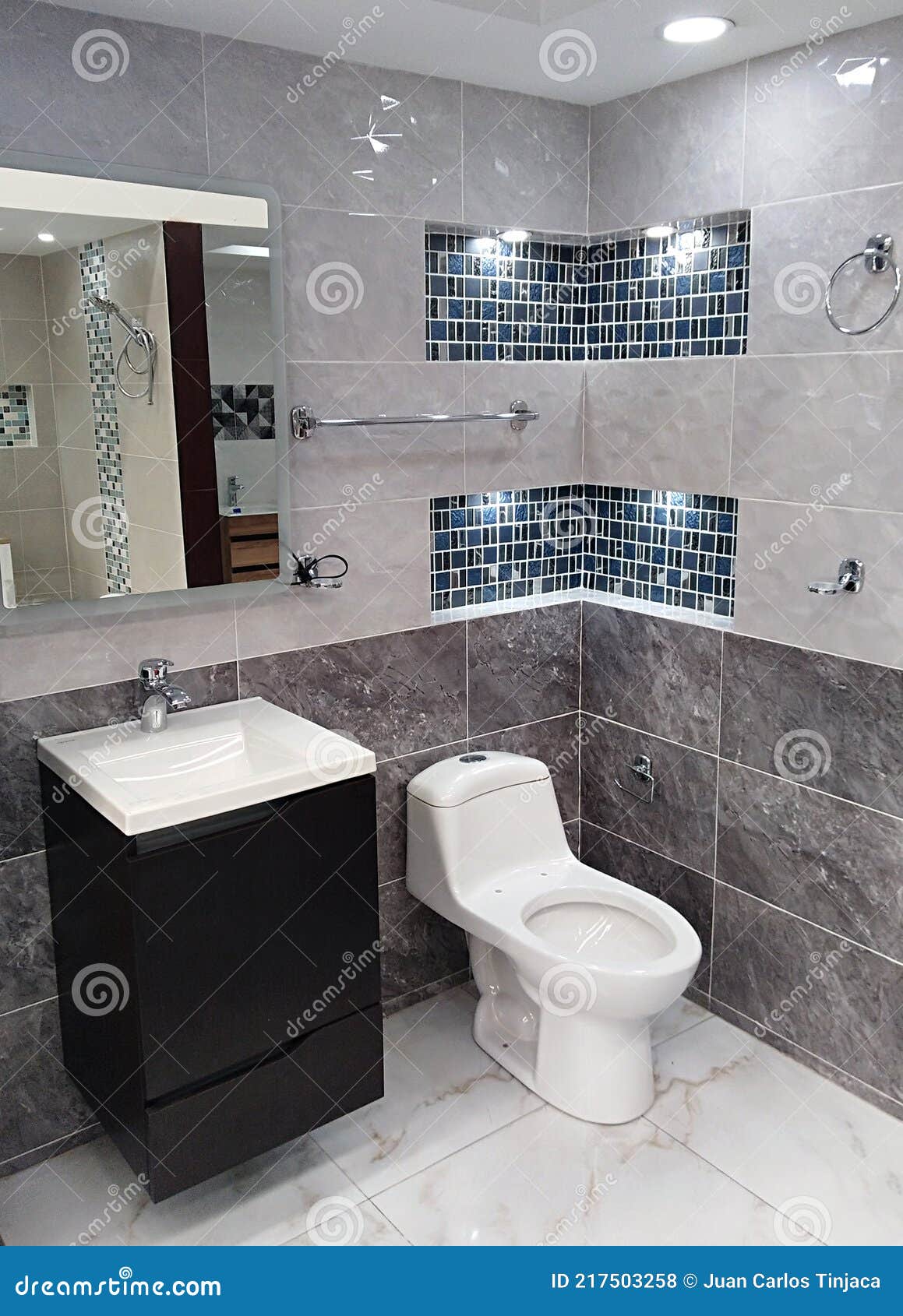 Bathroom with WC stock photo. Image of luxury, interior - 217503258