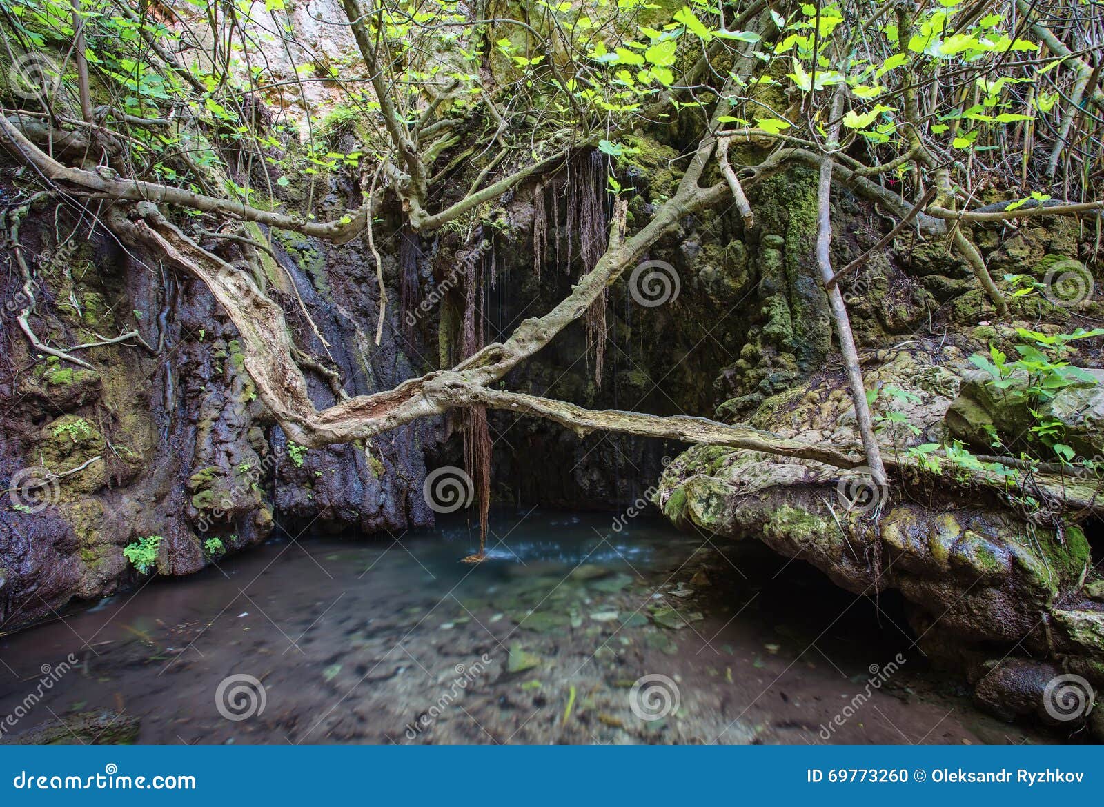 Baths of Aphrodite. Polis, Cyprus. Stock Photo - Image of journey ...