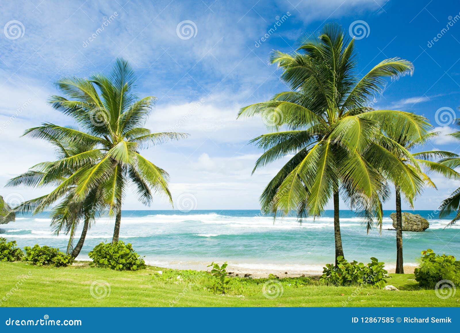 Bathsheba Coastal View From Hackleton`s Cliff In Barbados Royalty-Free ...