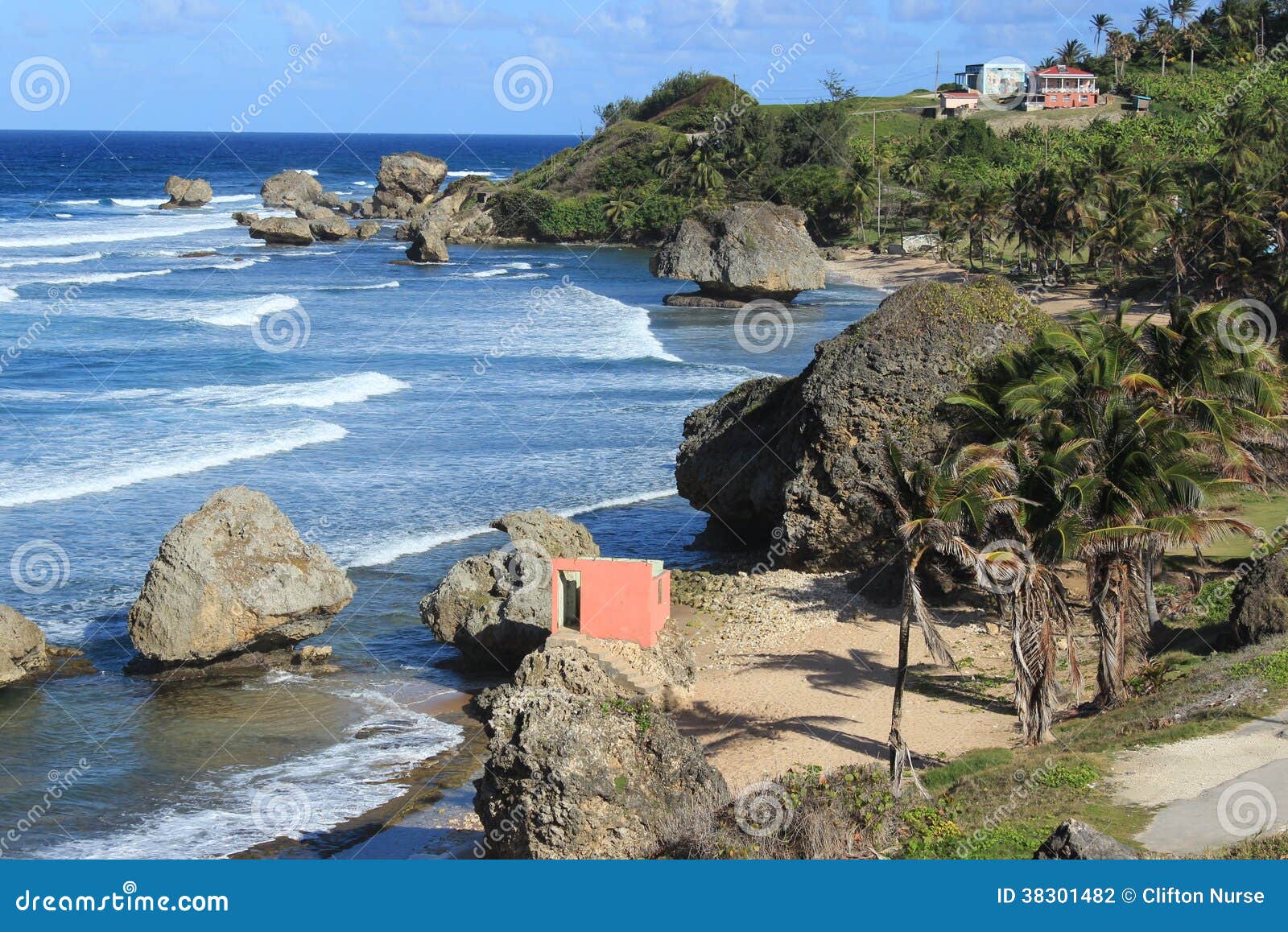 Bathsheba, Barbados stock photo. Image of 50th, independence - 38301482