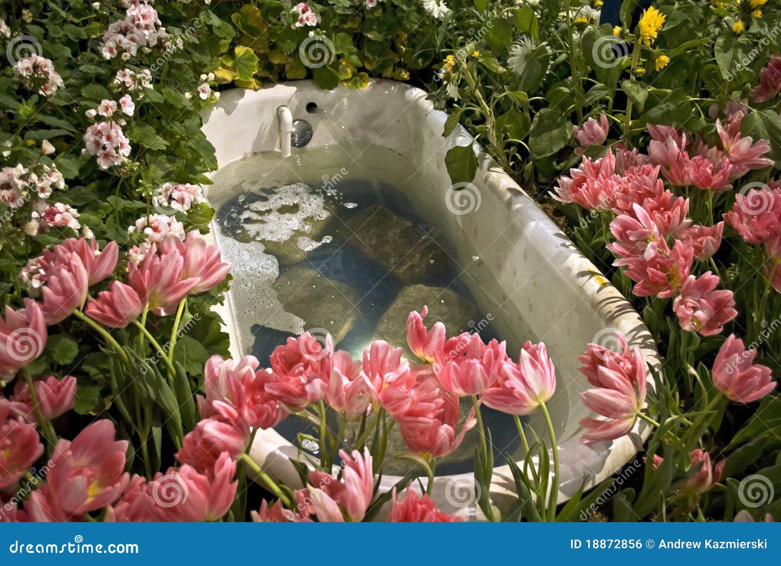Bathtub, Philadelphia Flower Show Editorial Photo - Image of display ...