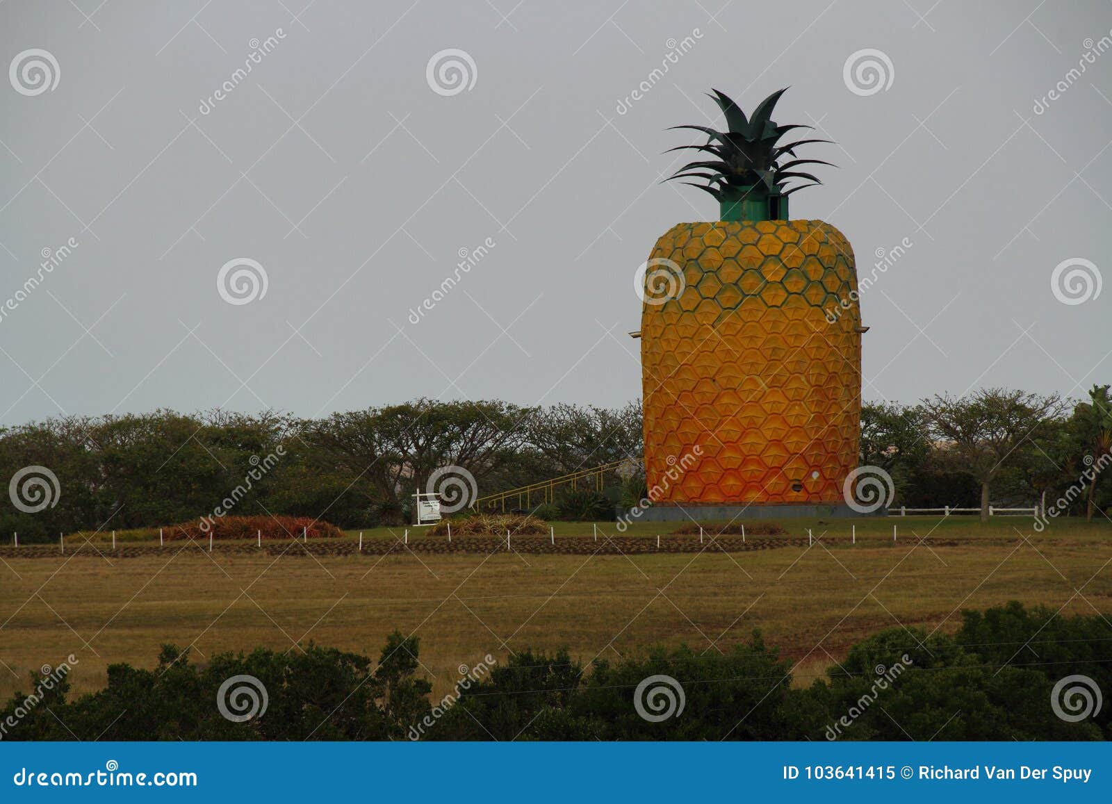 Bathurst Eastern Cape South Africa Editorial Image - Image of republic ...