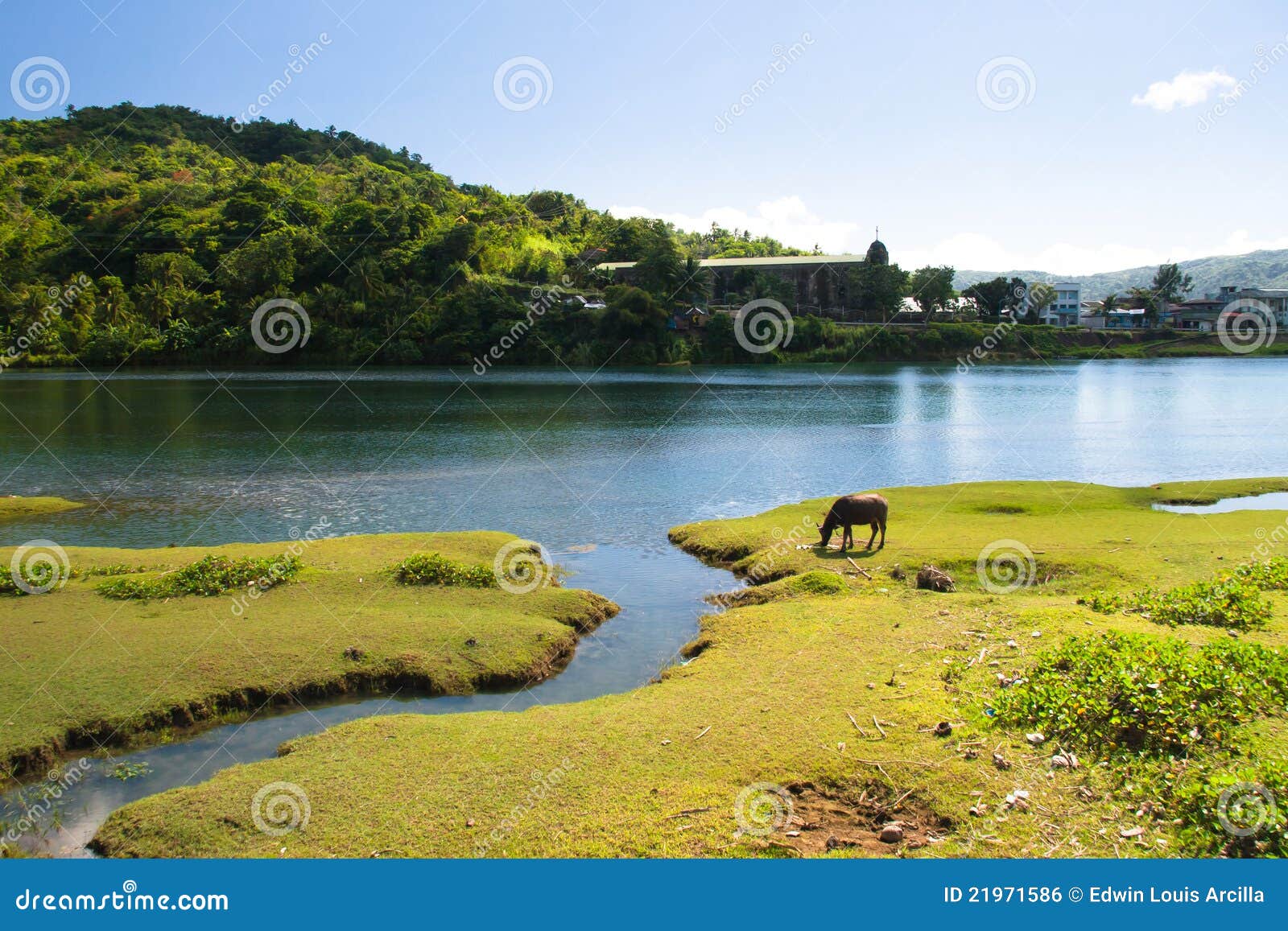 Bato River stock photo. Image of riverside, church, vegetation - 21971586