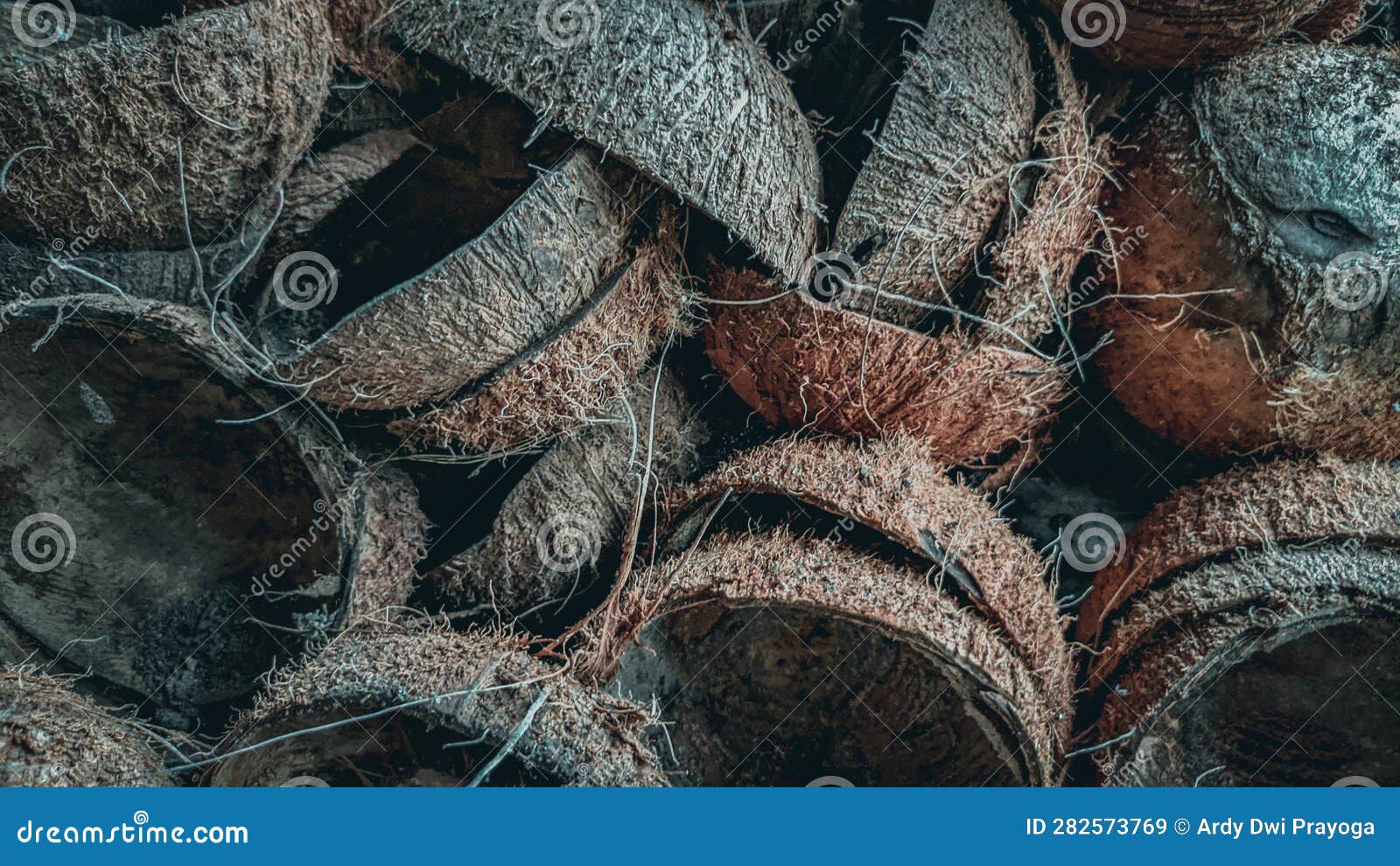 Batok Kelapa Can Be Made into Handicrafts and Charcoal. Stock Image ...