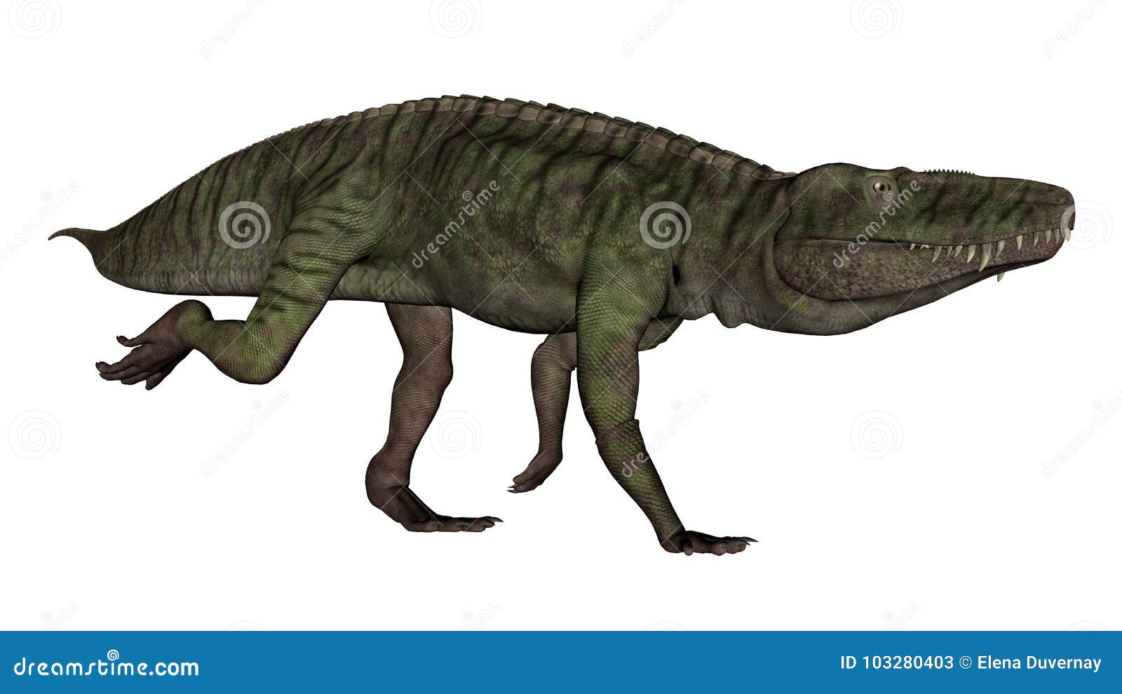 Batrachotomus Dinosaur Running -3D Render Stock Illustration ...