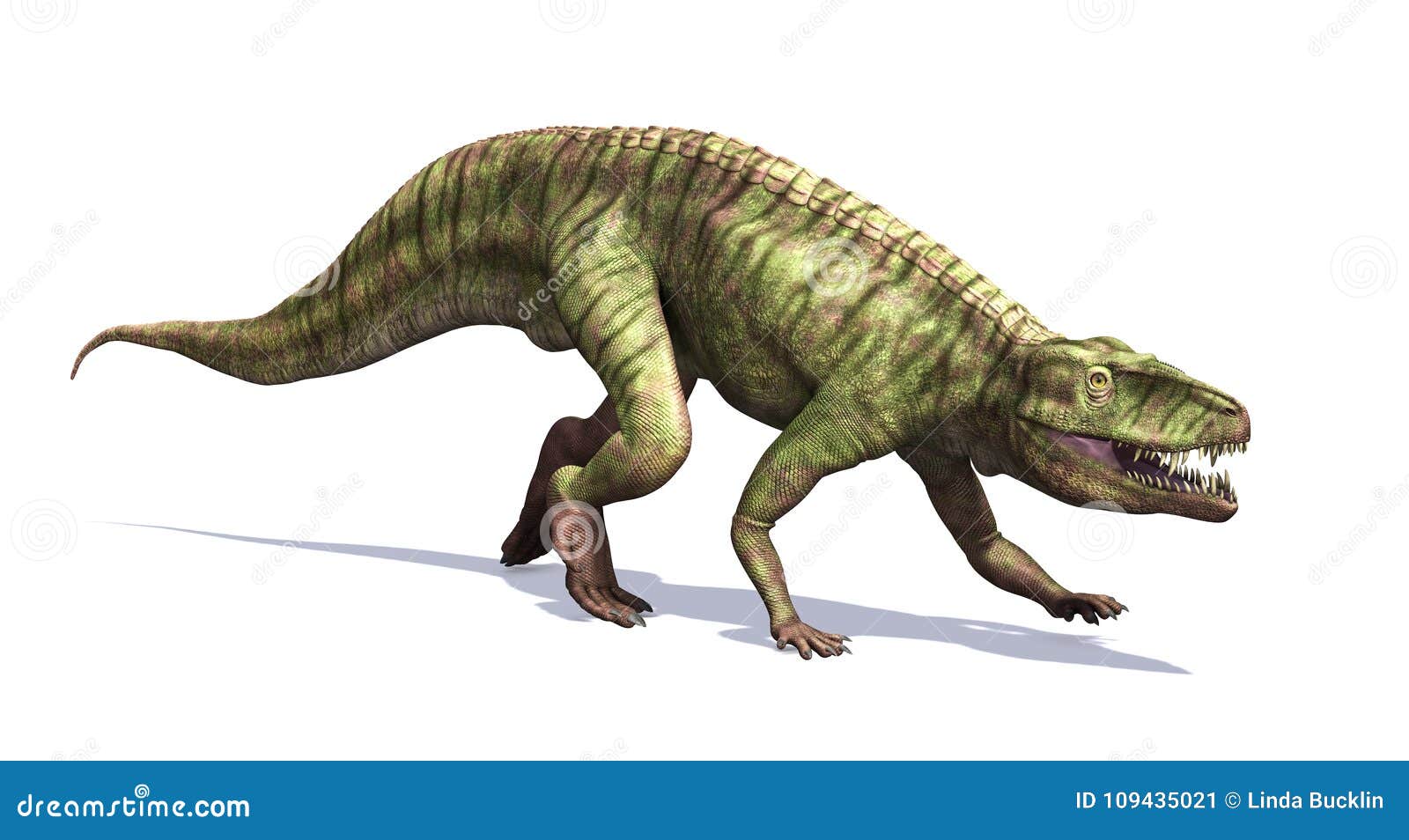 Batrachotomus Dinosaur stock illustration. Illustration of ...